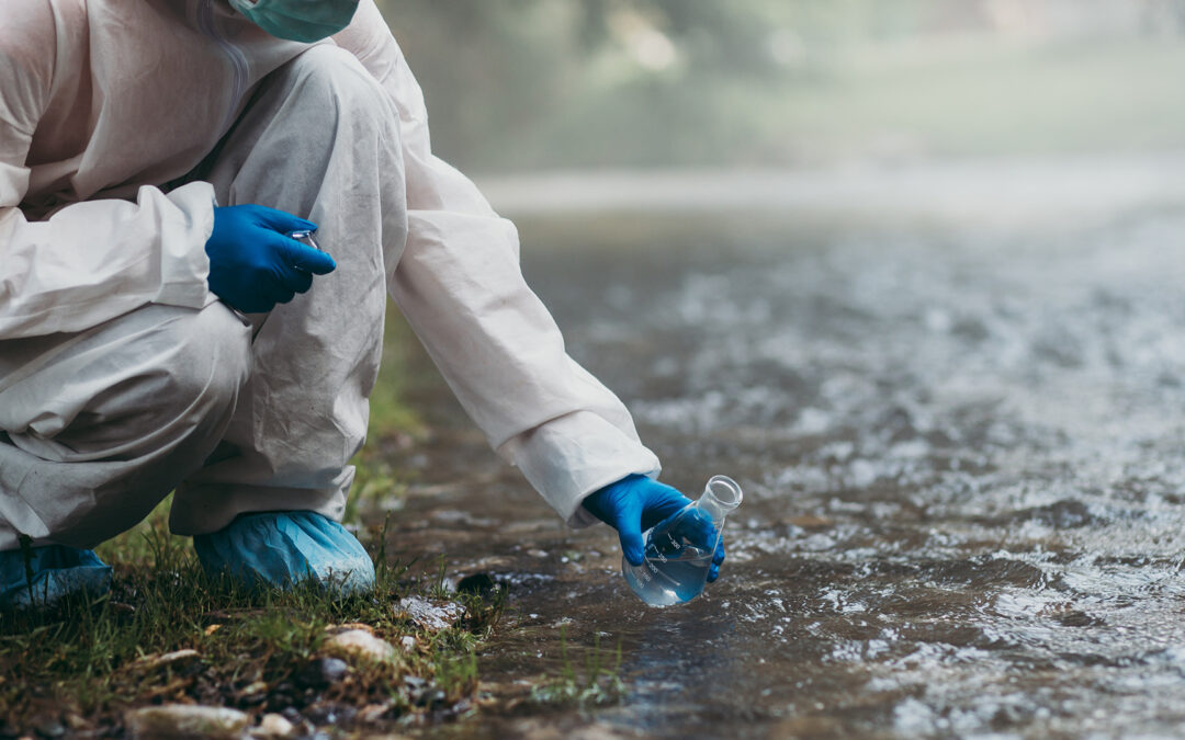 The Seven Most Common Risks in Agribusiness